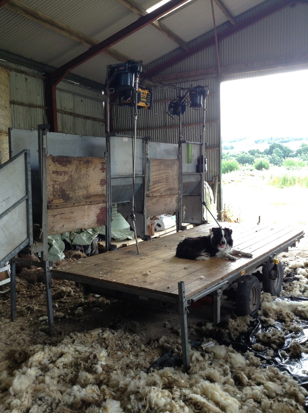 Shearing Trailers | Page 2 | The Farming Forum