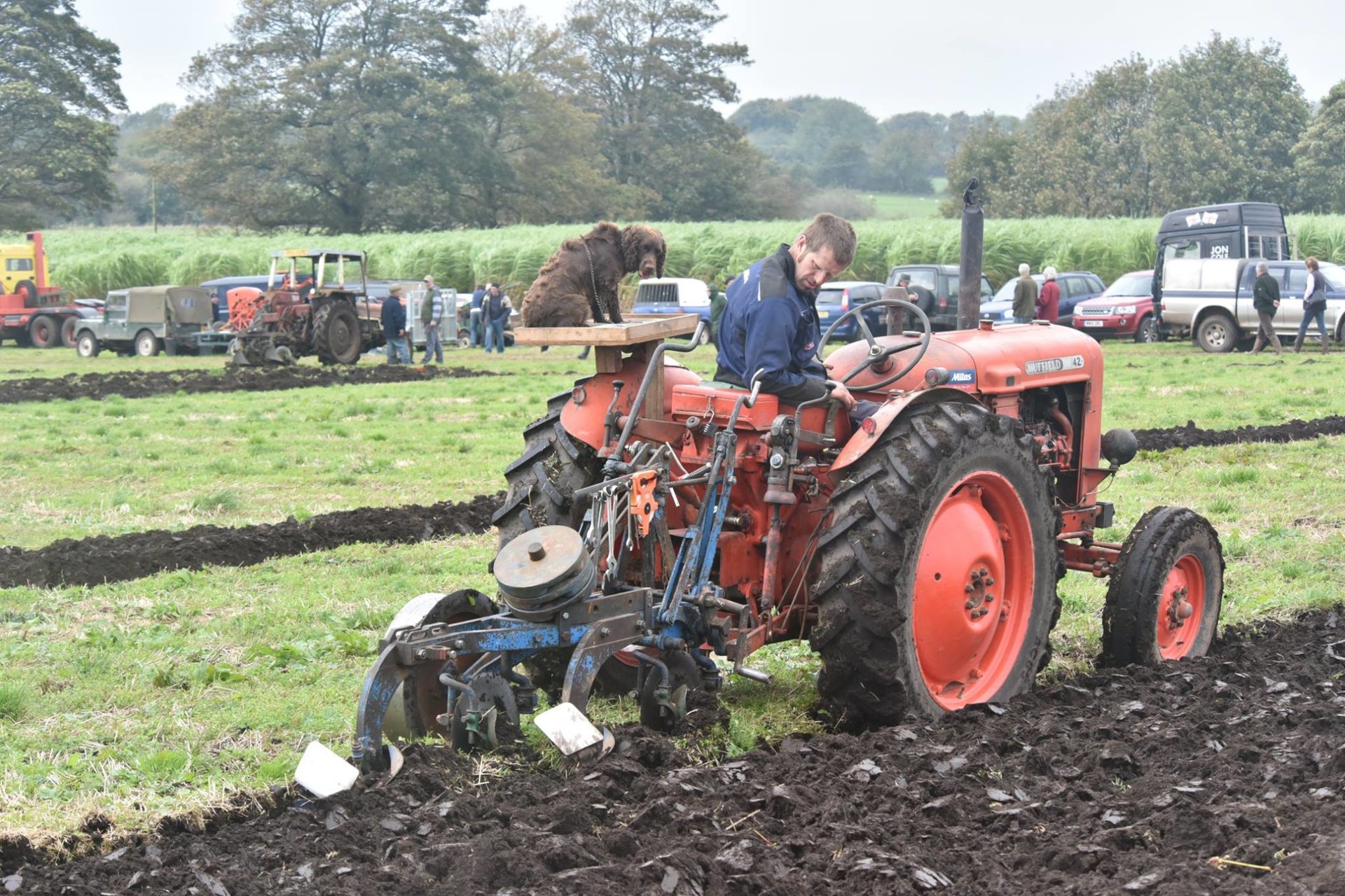 Dogs and ploughs. | The Farming Forum