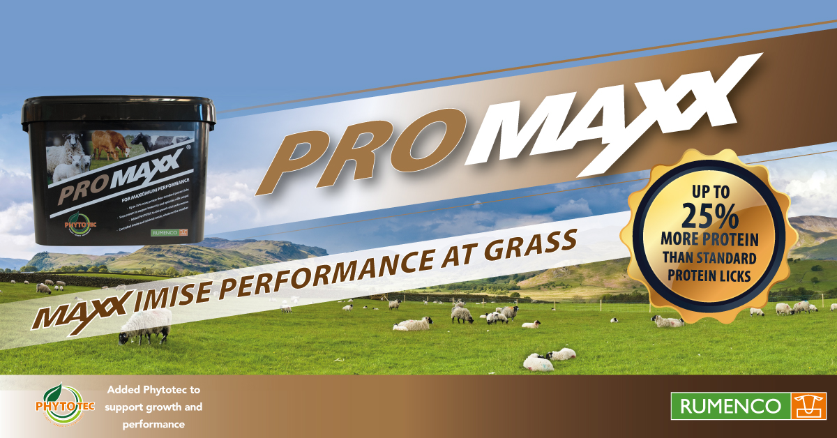 Rumenco Ltd | The Farming Forum
