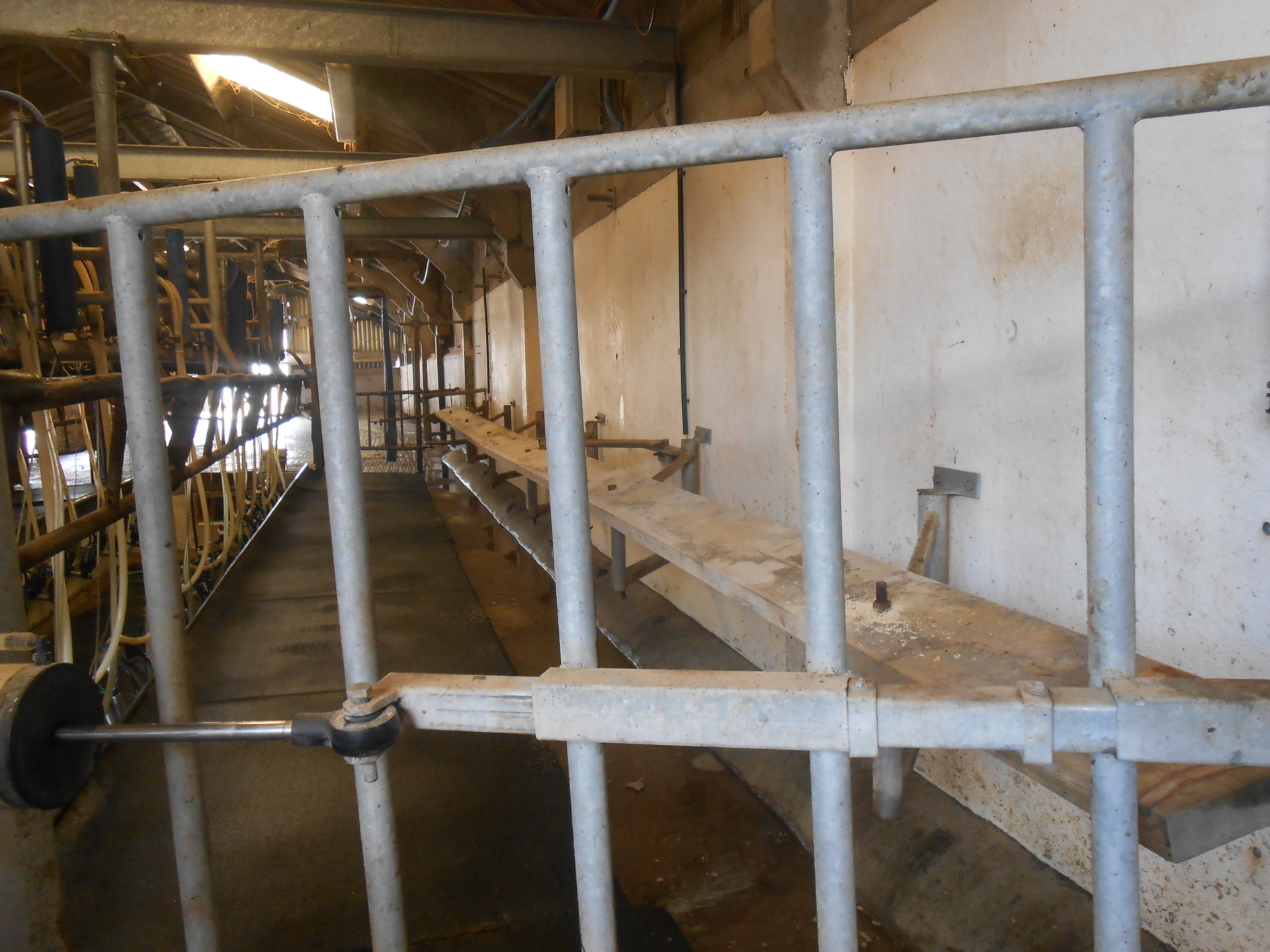 Parlour head rail/ brisket rail | The Farming Forum