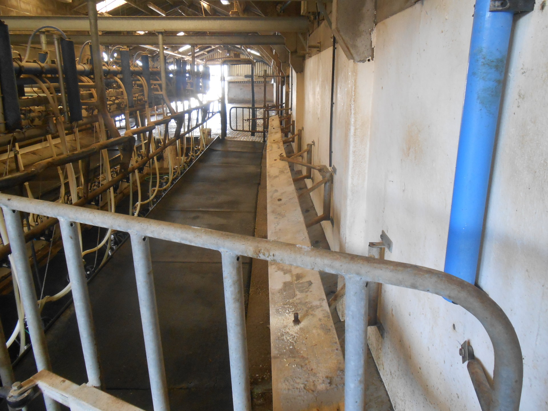 Parlour head rail/ brisket rail | The Farming Forum
