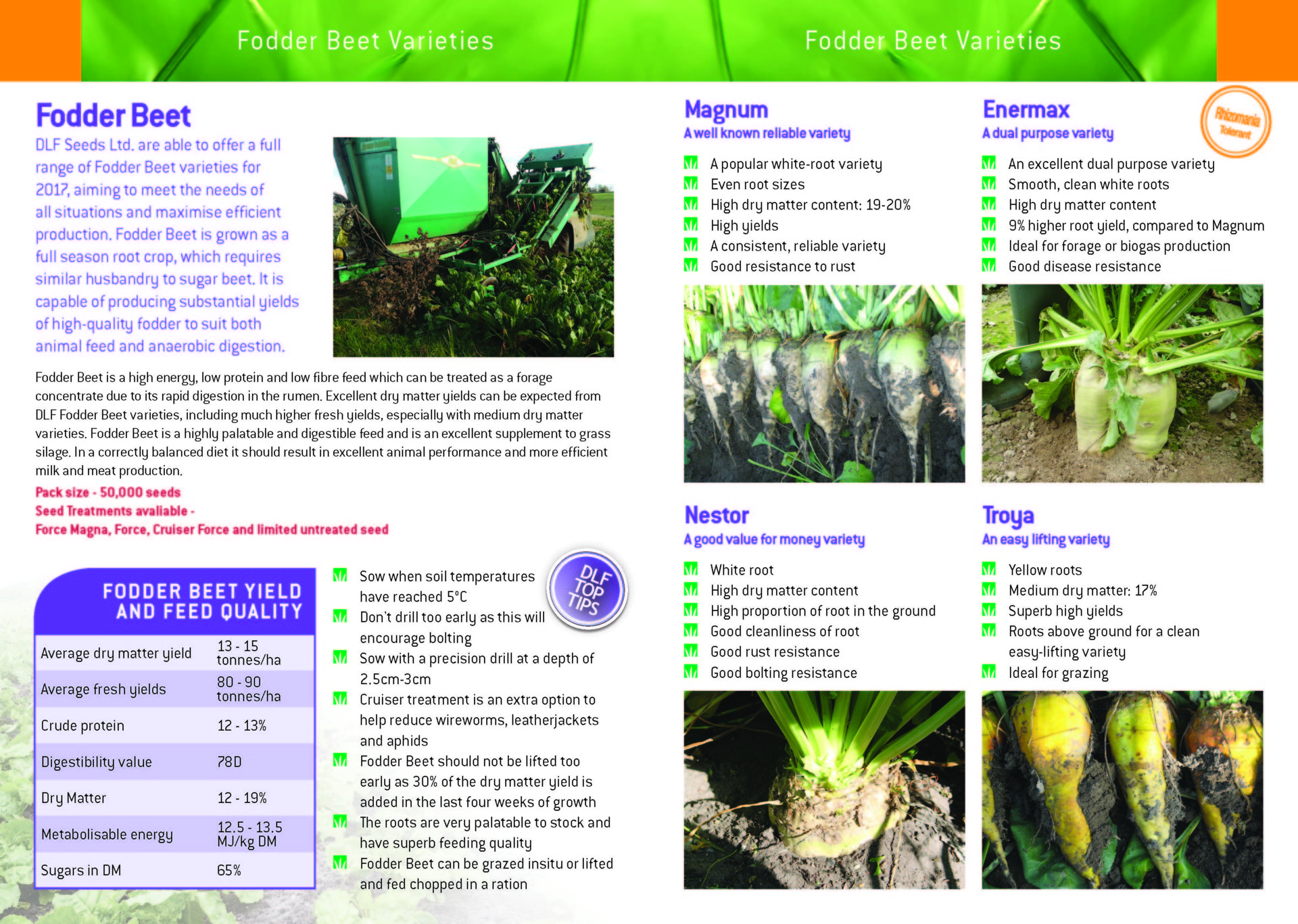 2018 FODDER BEET EARLY BIRD ORDER OFFER | The Farming Forum