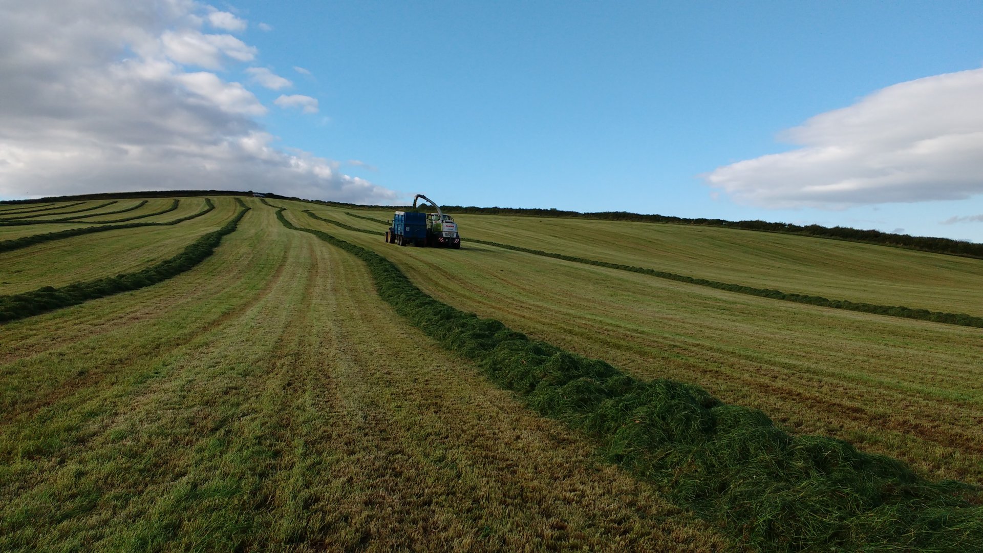 Forage | The Farming Forum