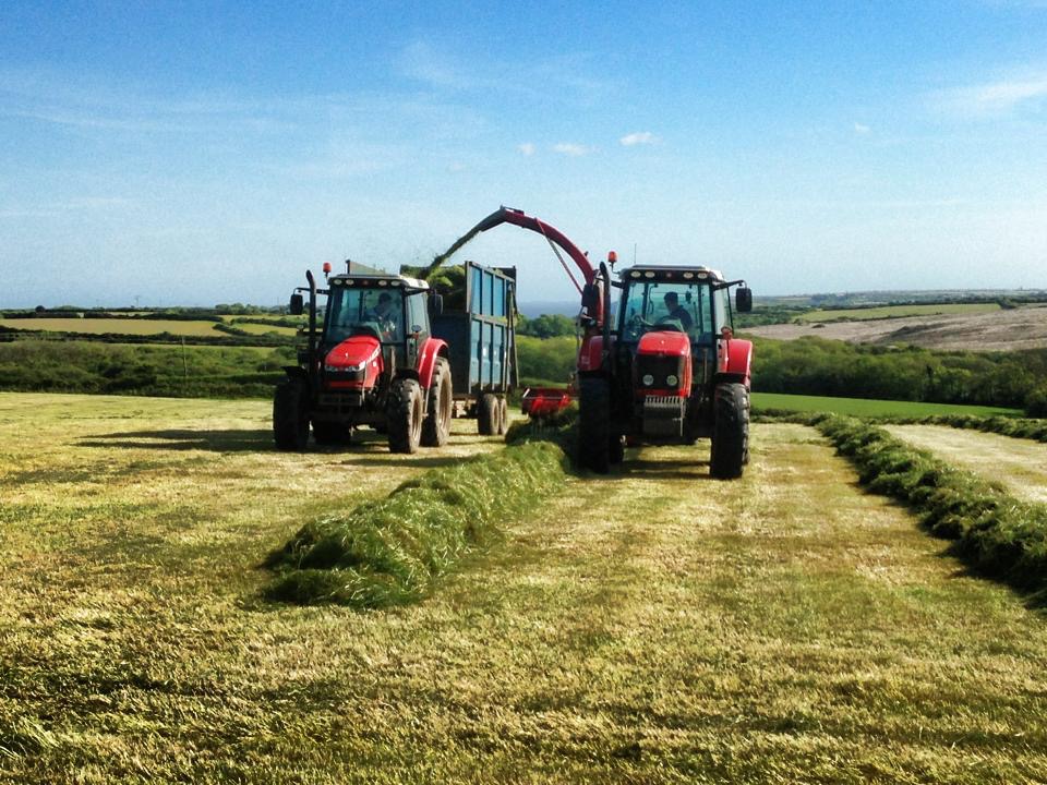 Trailed forage harvester | The Farming Forum