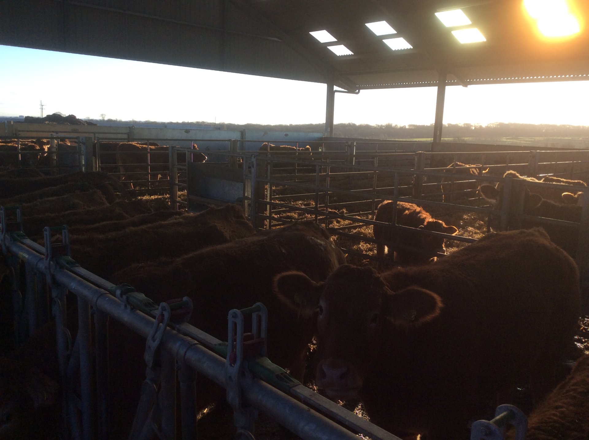 Beef building - green field site | Page 6 | The Farming Forum