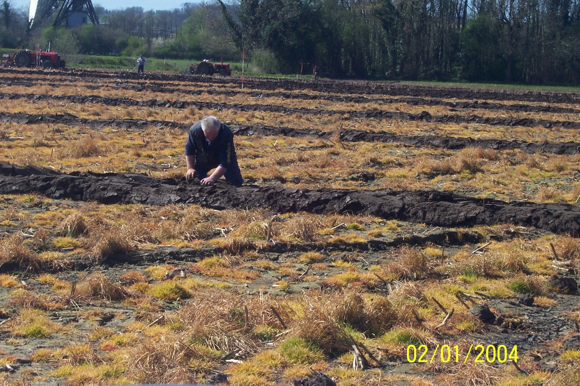 Is handling now permitted? | Page 6 | The Farming Forum