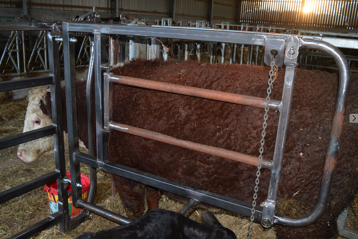 single head yoke | The Farming Forum