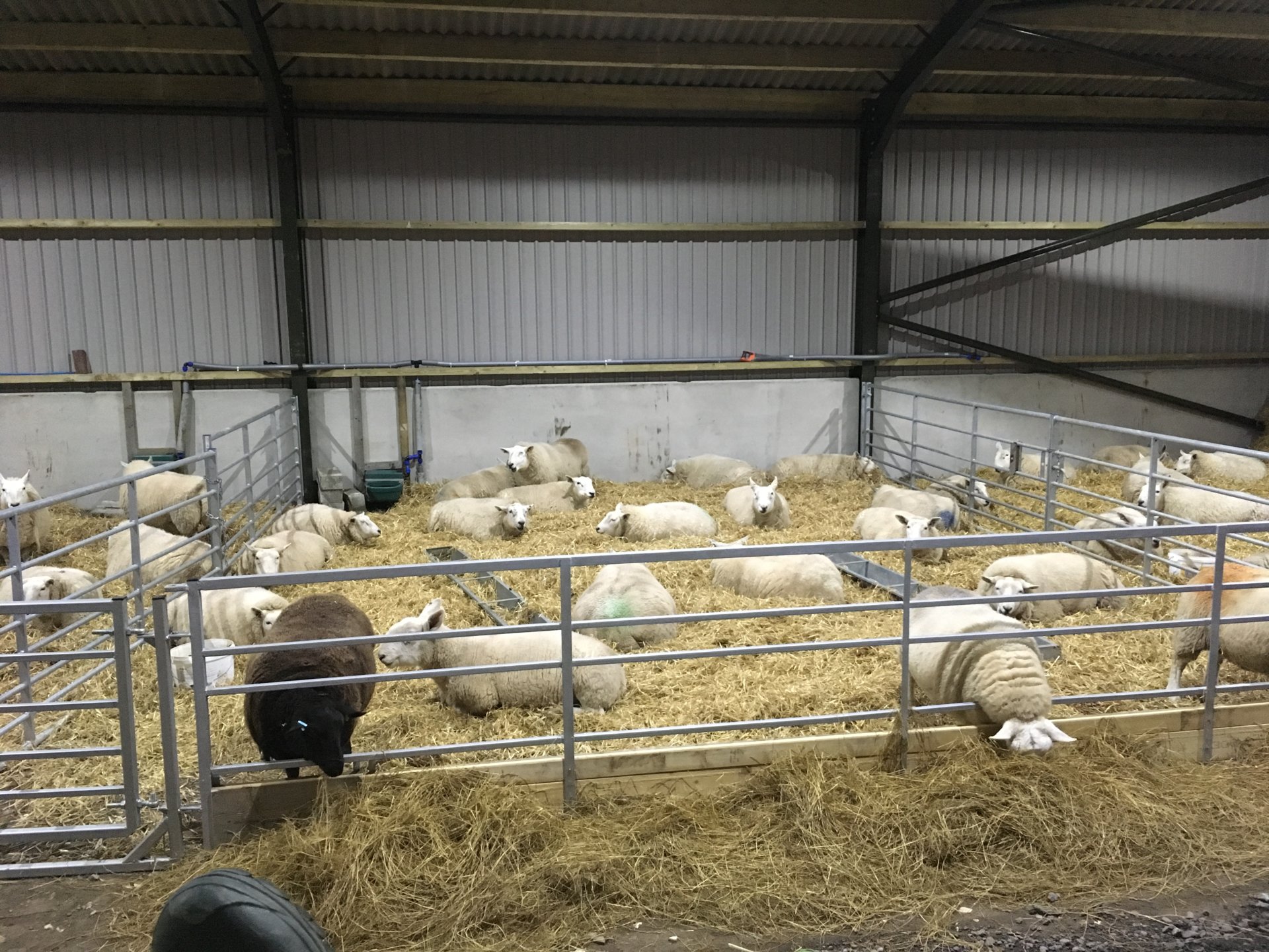 New shed | Page 3 | The Farming Forum