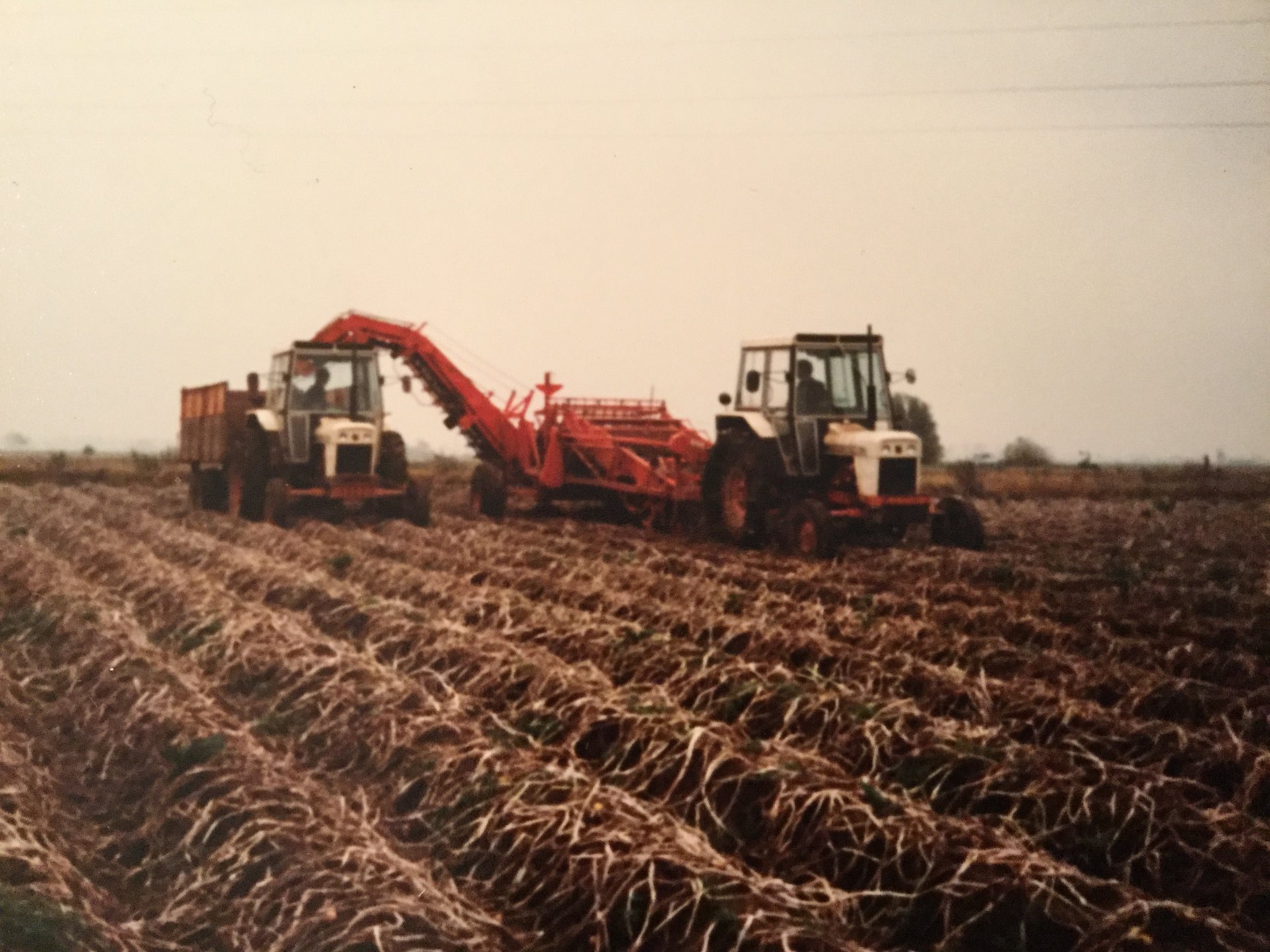 David Brown pics | The Farming Forum