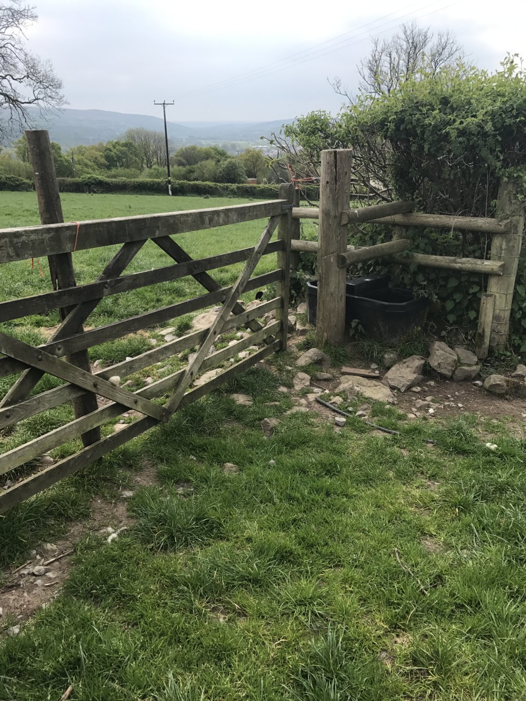 Creep gates | The Farming Forum