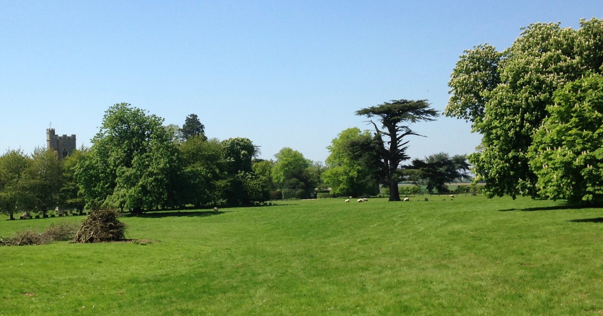 Photos from my rounds in Suffolk today | The Farming Forum