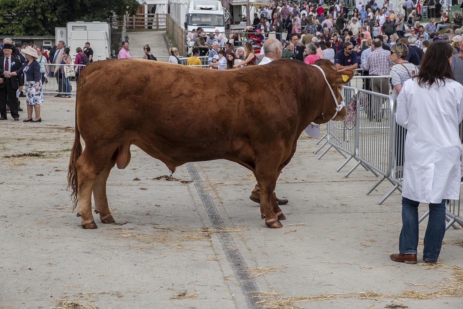 Royal Cornwall Show | Page 13 | The Farming Forum