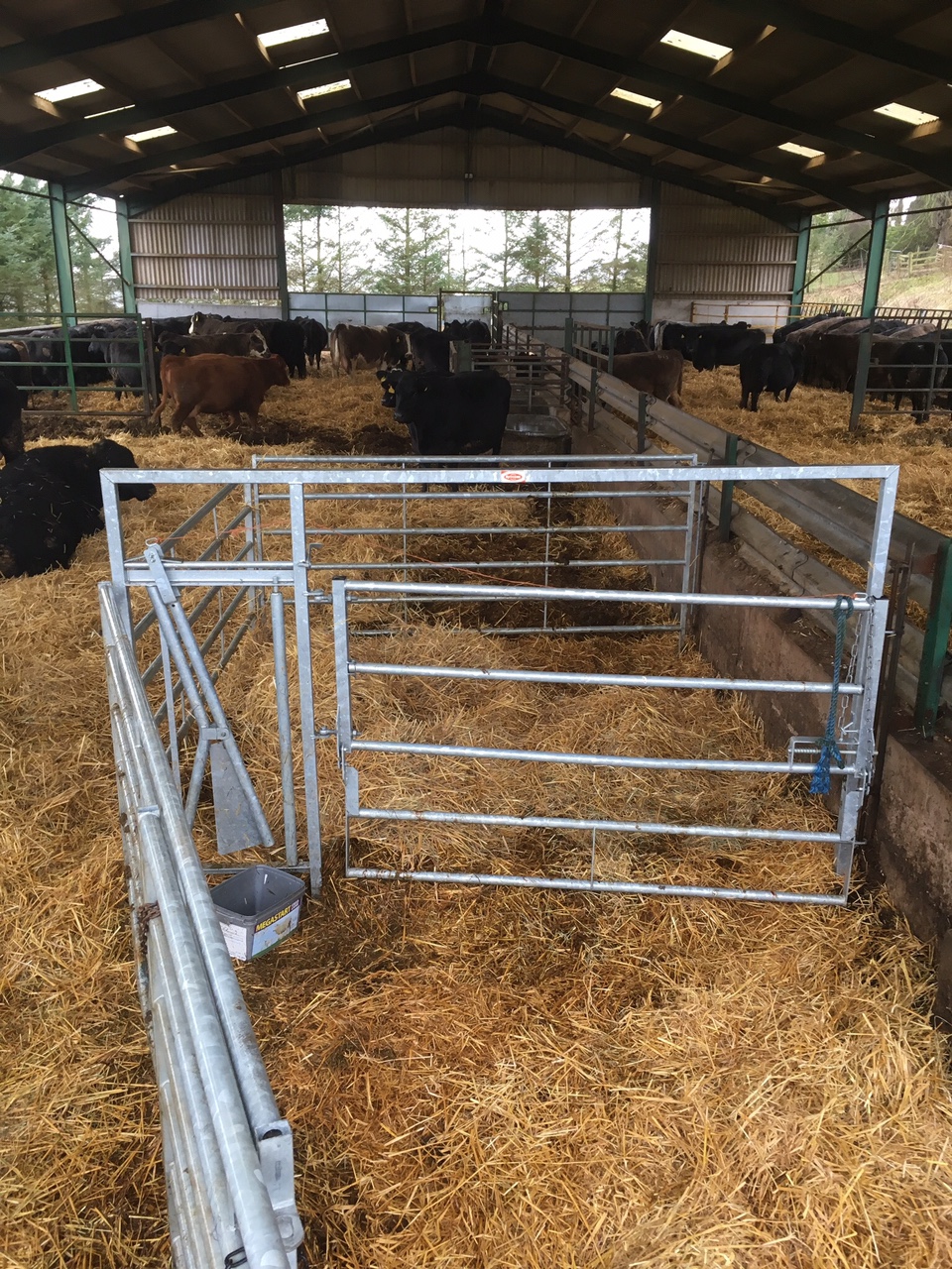 CALVING GATE | Page 5 | The Farming Forum
