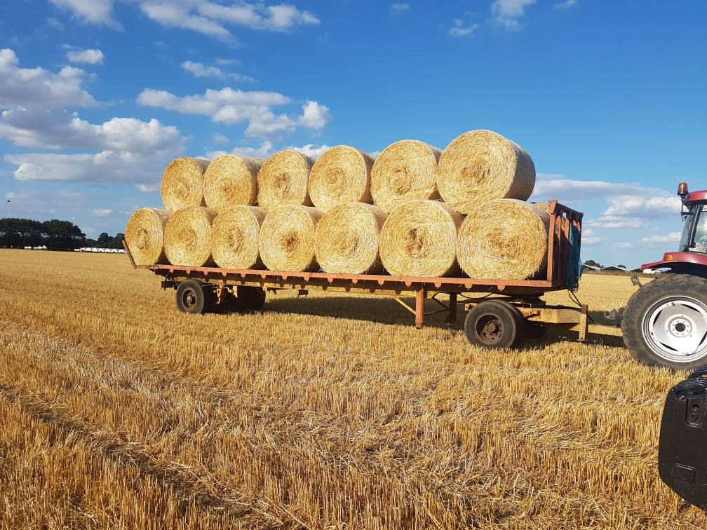 Today at work | Page 4573 | The Farming Forum