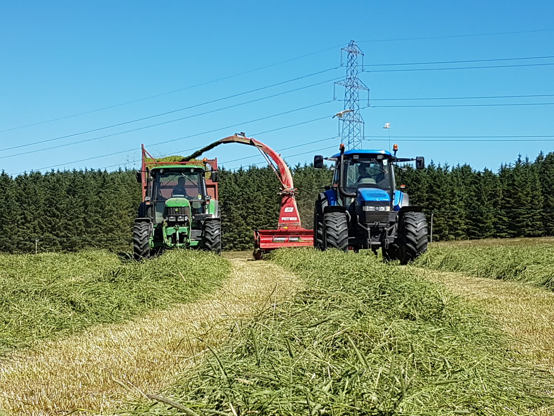 Trailed forage harvesters | Page 3 | The Farming Forum