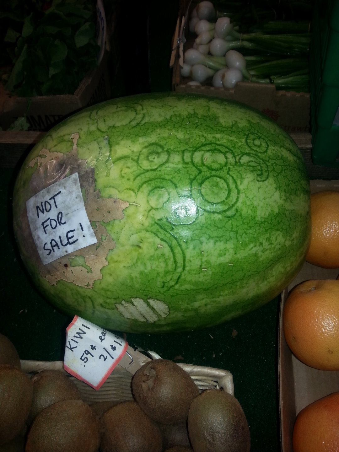 alien watermelon | The Farming Forum