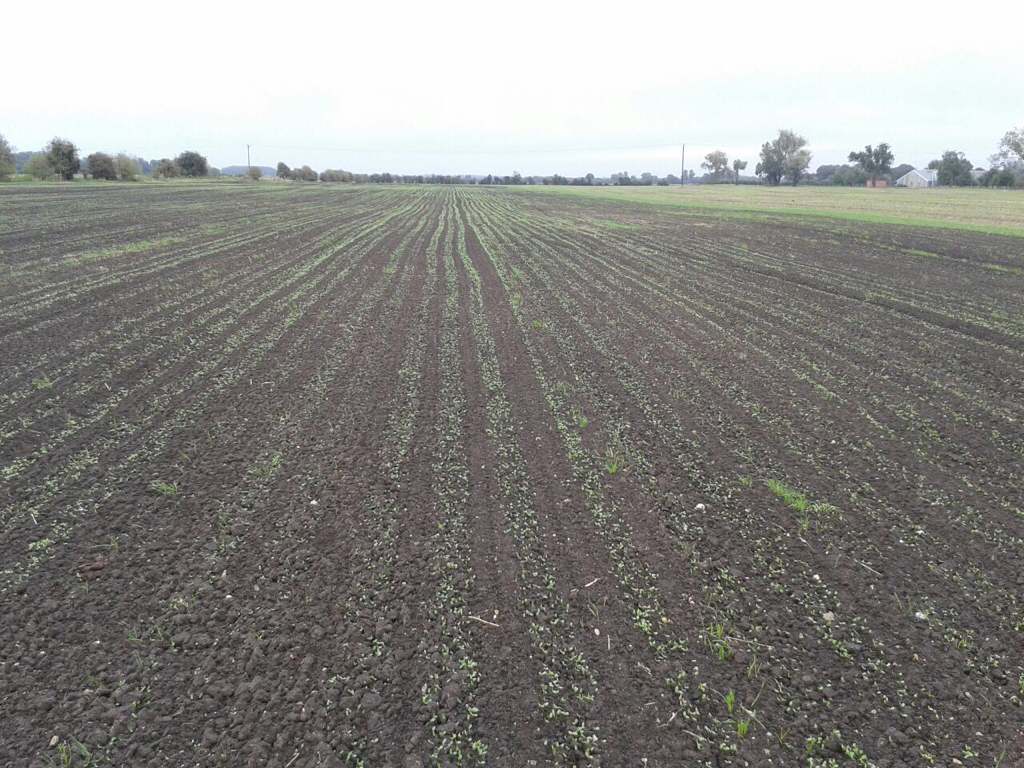 Trimble CenterPoint RTX | The Farming Forum