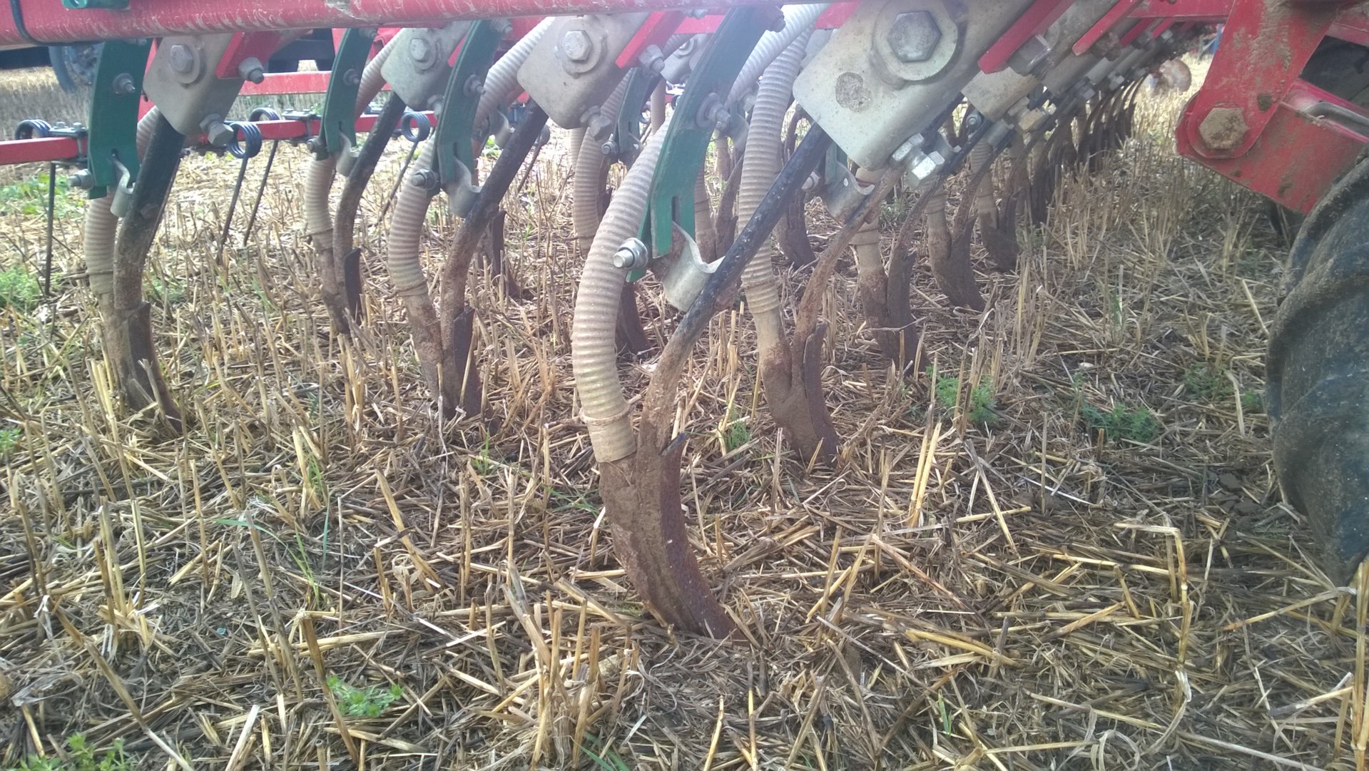 Clarke and Simpson 7th Oct | The Farming Forum