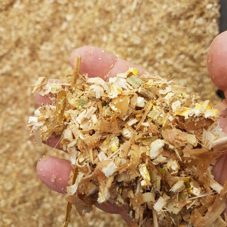 Maize Silage Sheep | The Farming Forum