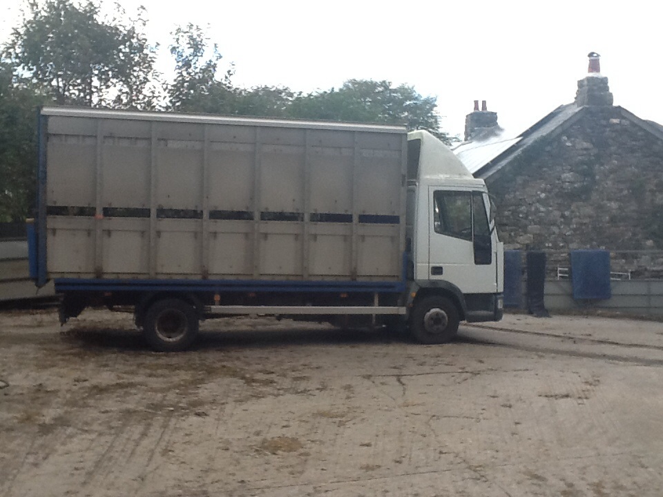 Iveco 7,5t livestock truck for sale | The Farming Forum