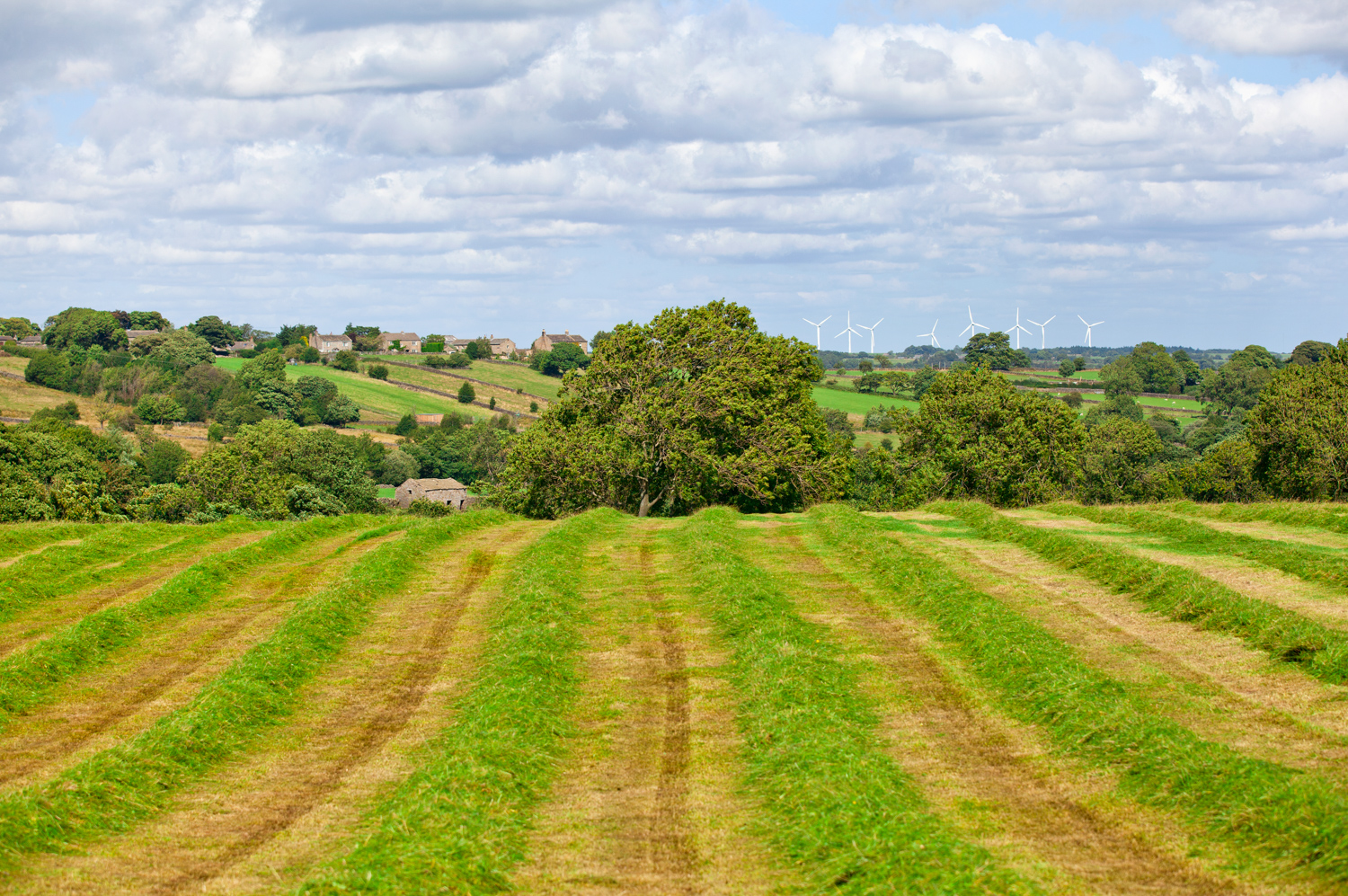 2019 TFF Calendar Picture Competition | Page 9 | The Farming Forum
