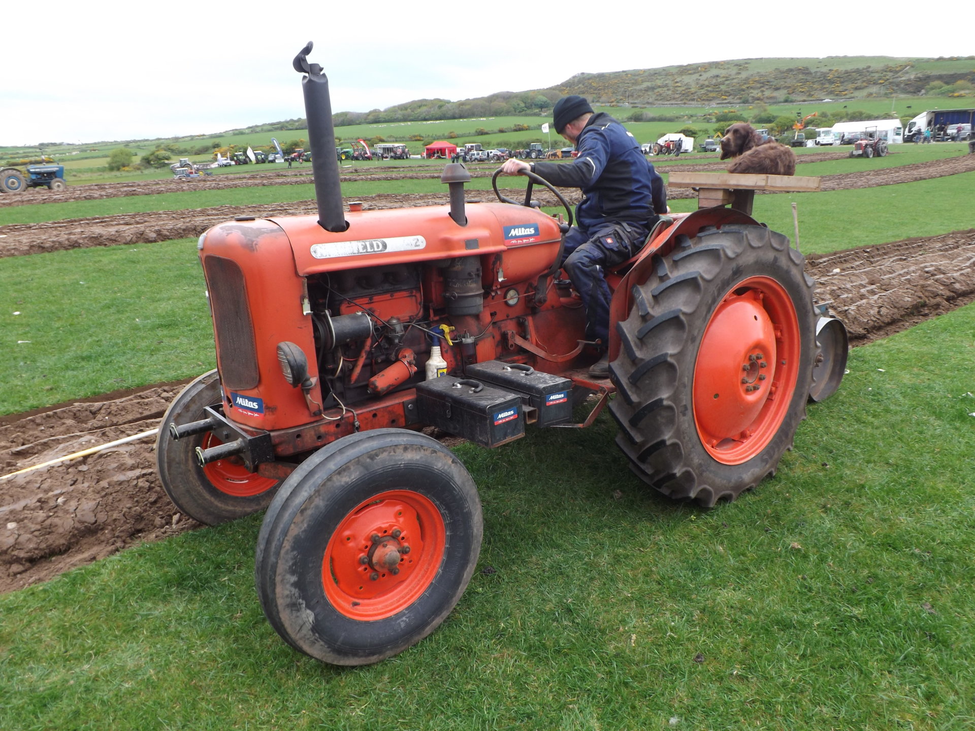 Dogs in cabs | The Farming Forum