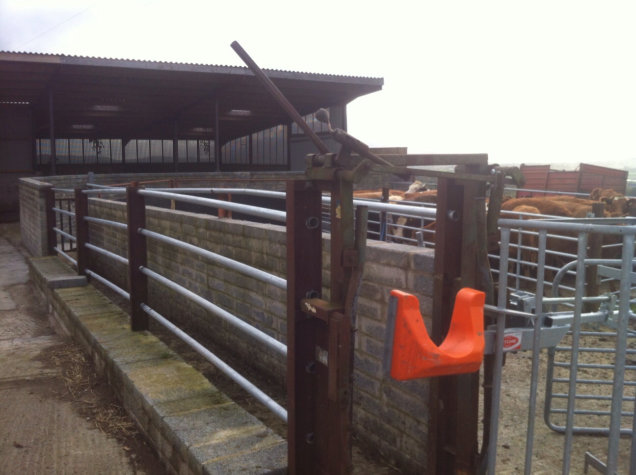 Cattle Handling System | Page 4 | The Farming Forum
