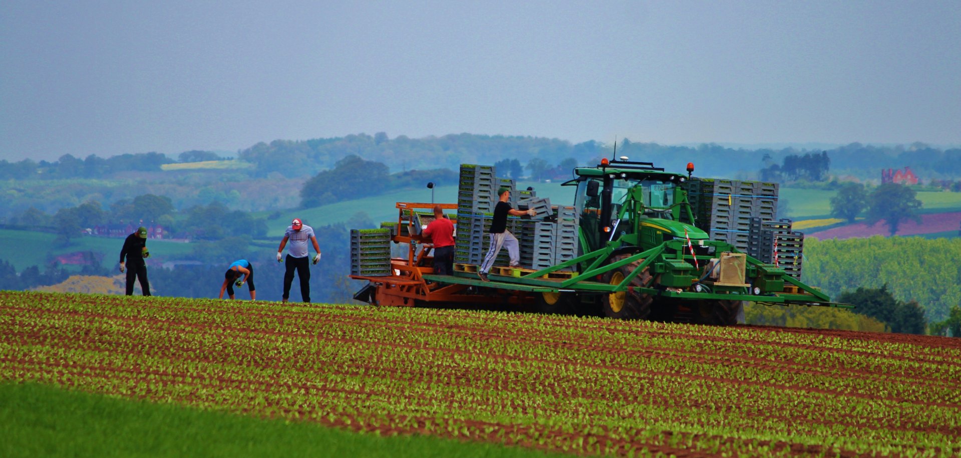 J.Taylor Photography | Page 4 | The Farming Forum