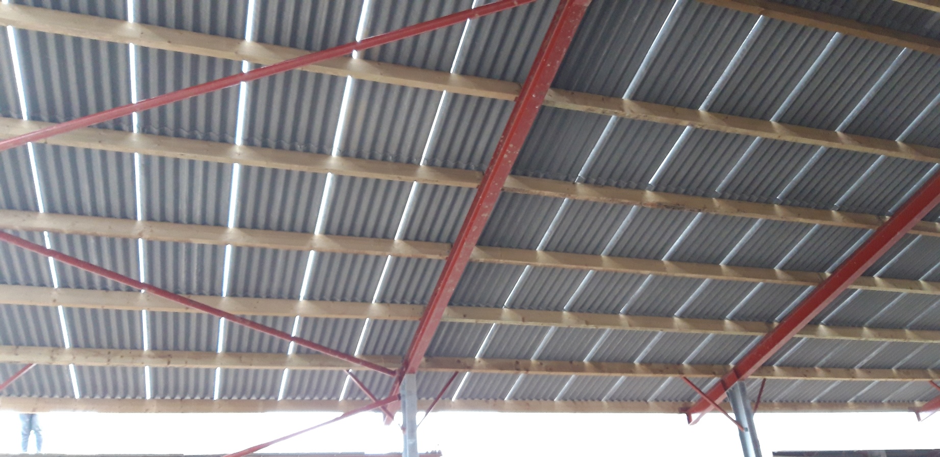 Open Sheets on Transition shed roof | The Farming Forum