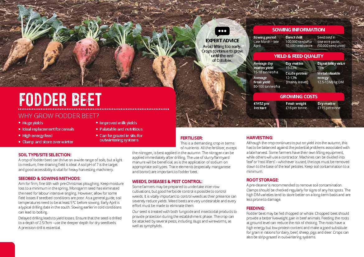 Countryside Seeds Ltd | Page 40 | The Farming Forum