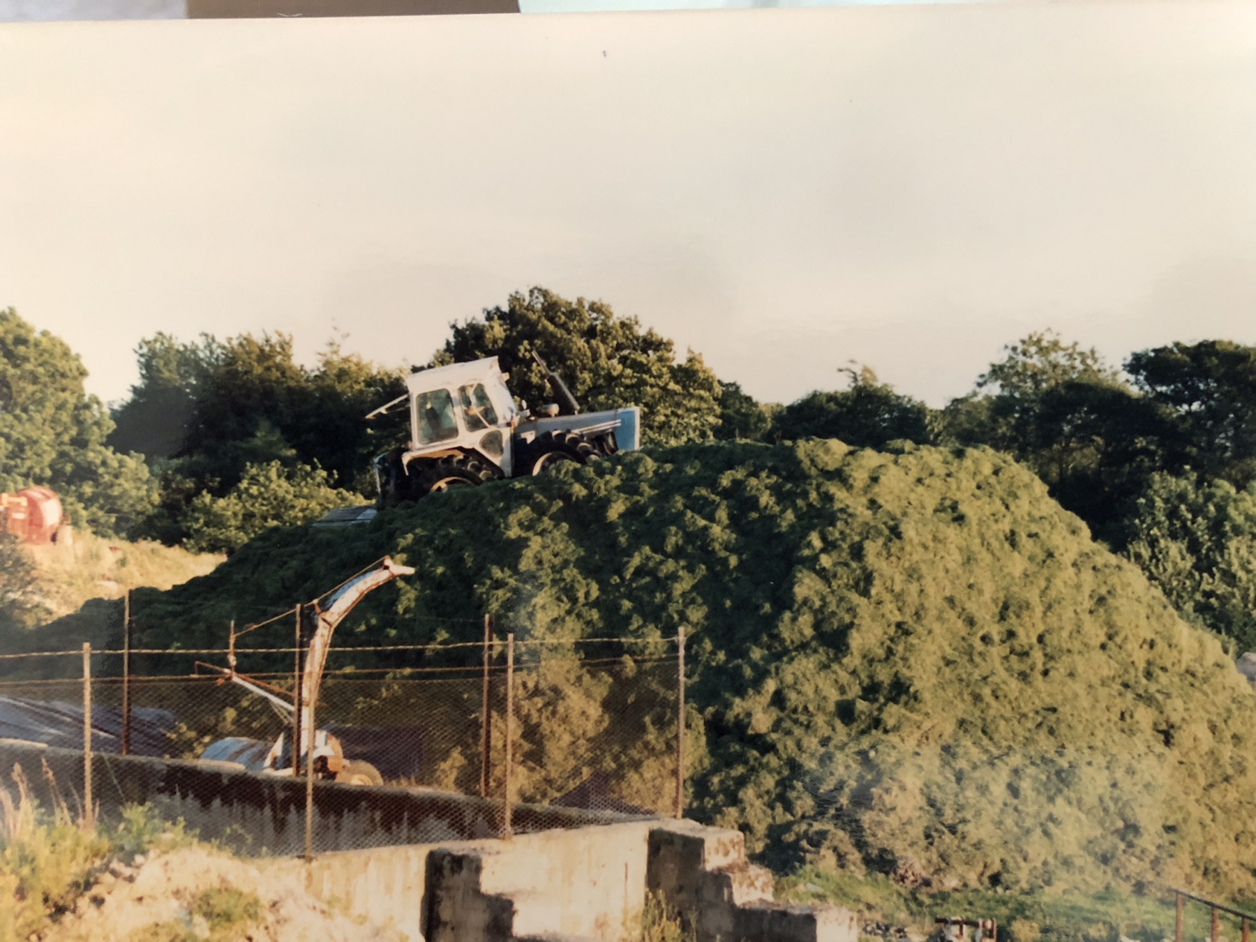 Some old photos | The Farming Forum