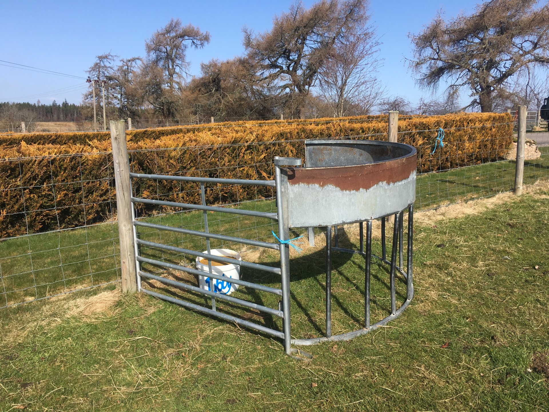 Ingredients in orf tubby buckets | The Farming Forum