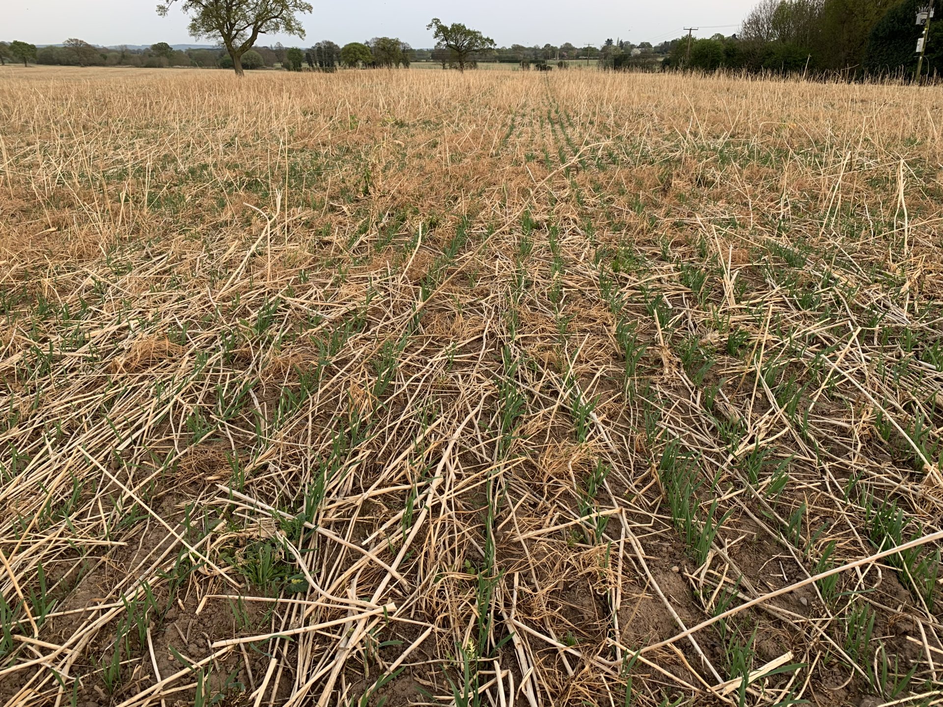 Direct/Strip-till drilling photo gallery | Page 95 | The Farming Forum
