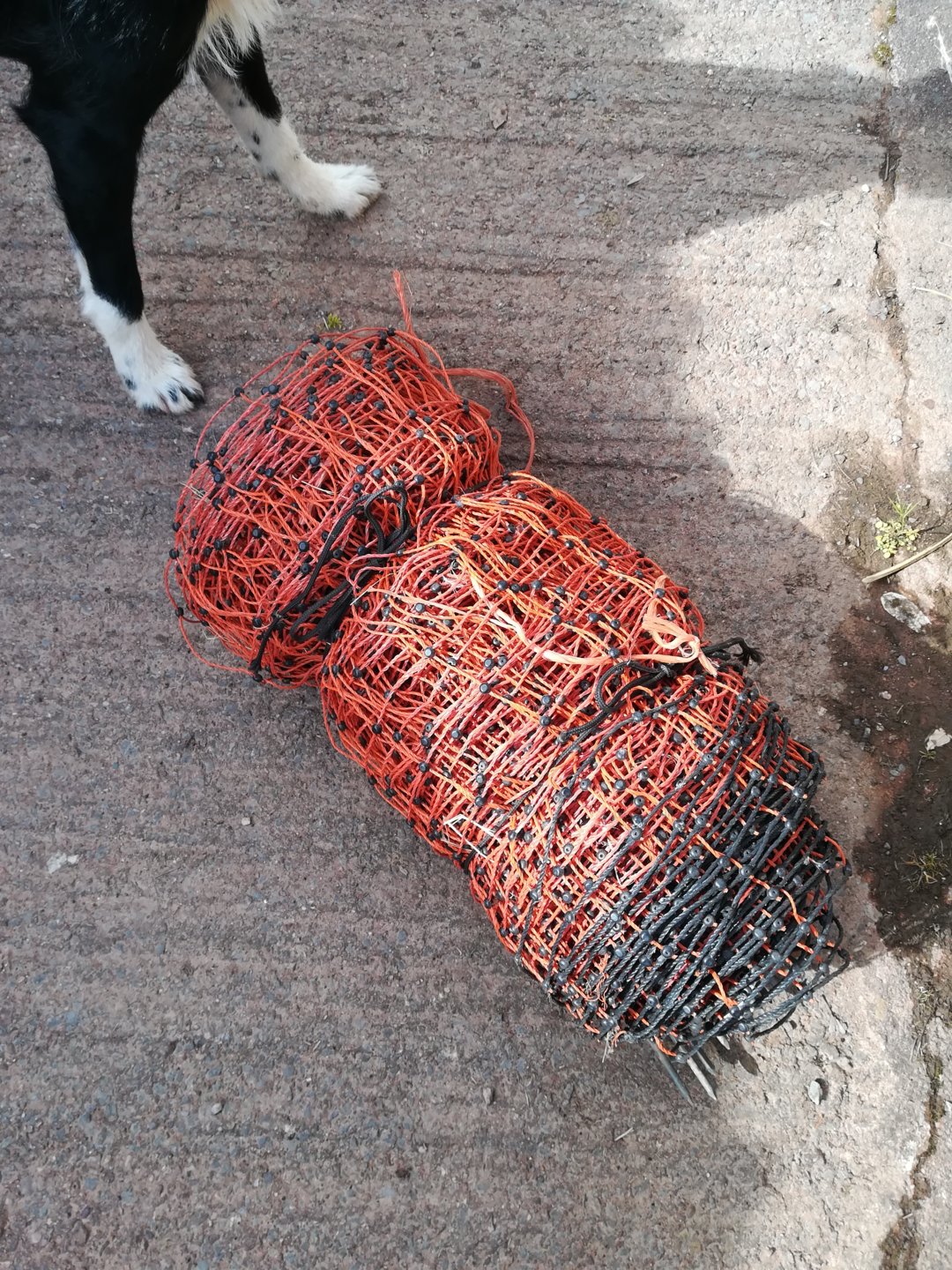 Electric rabbit netting | The Farming Forum