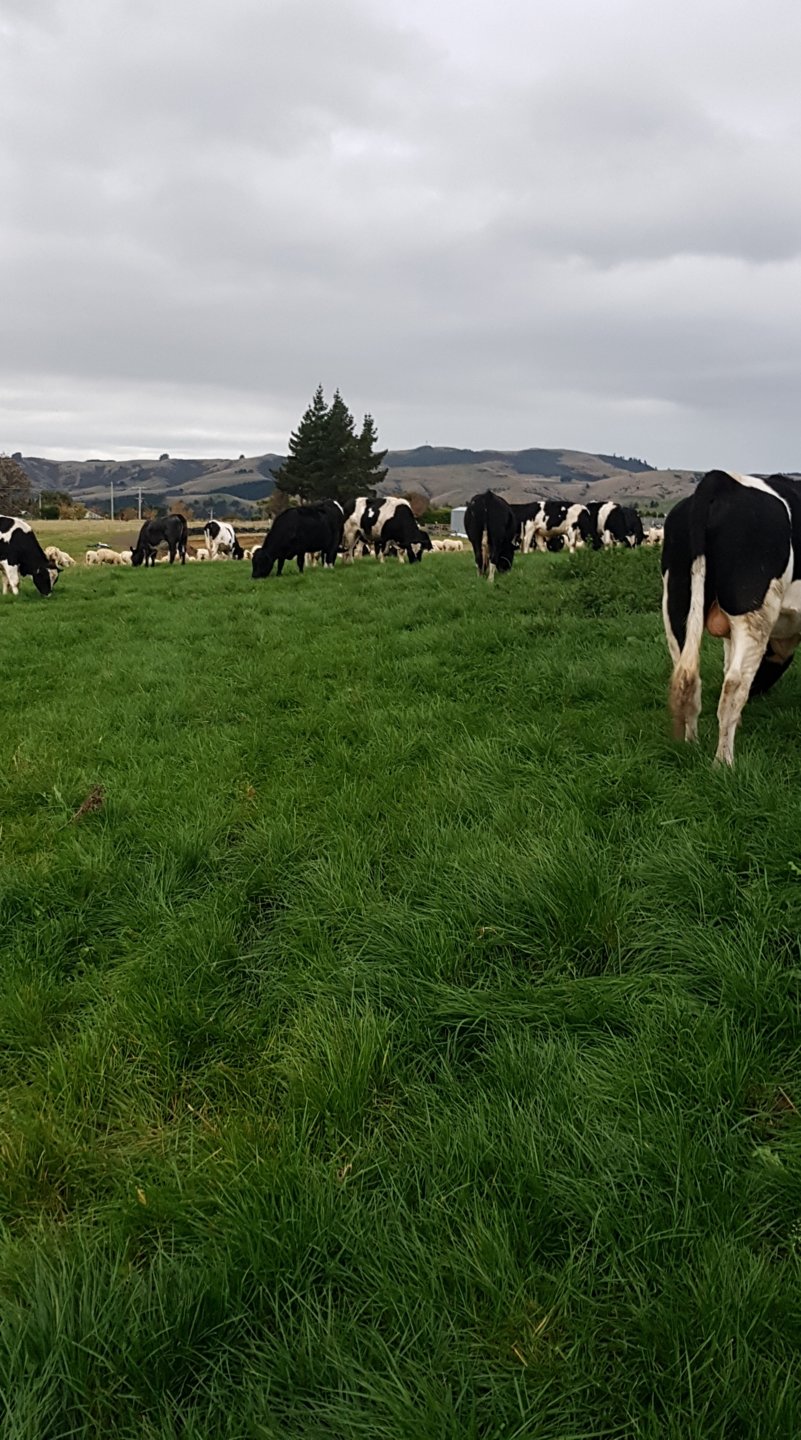 Using muck to improve soil. | Page 2 | The Farming Forum