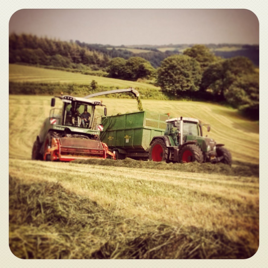 Fendt forager on A38 this afternoon - near Liskeard | The Farming Forum