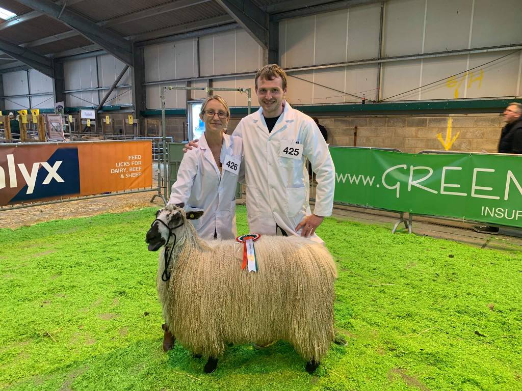 Native breeds photographs | Page 76 | The Farming Forum