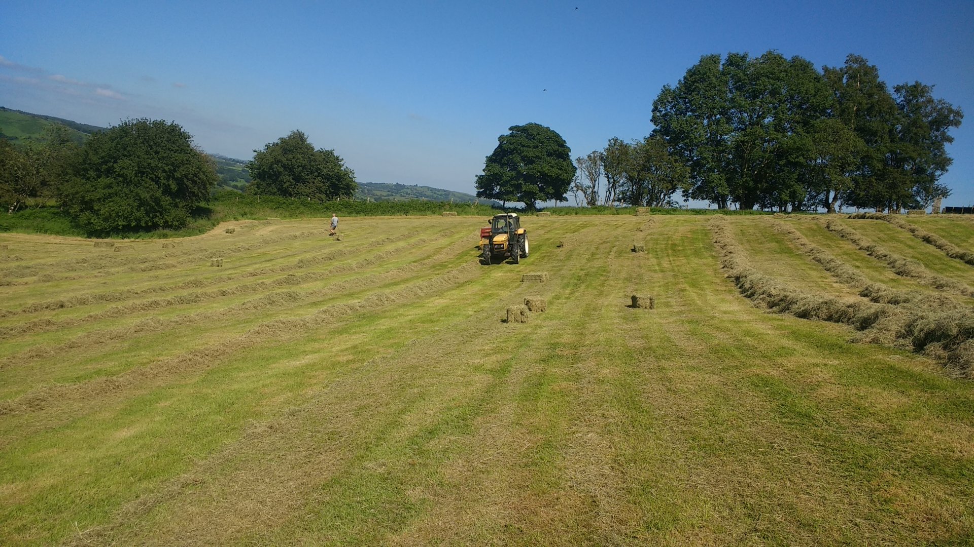 Anyone made any hay yet? | Page 149 | The Farming Forum