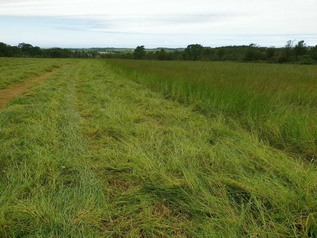 Poor grass growth | Page 2 | The Farming Forum