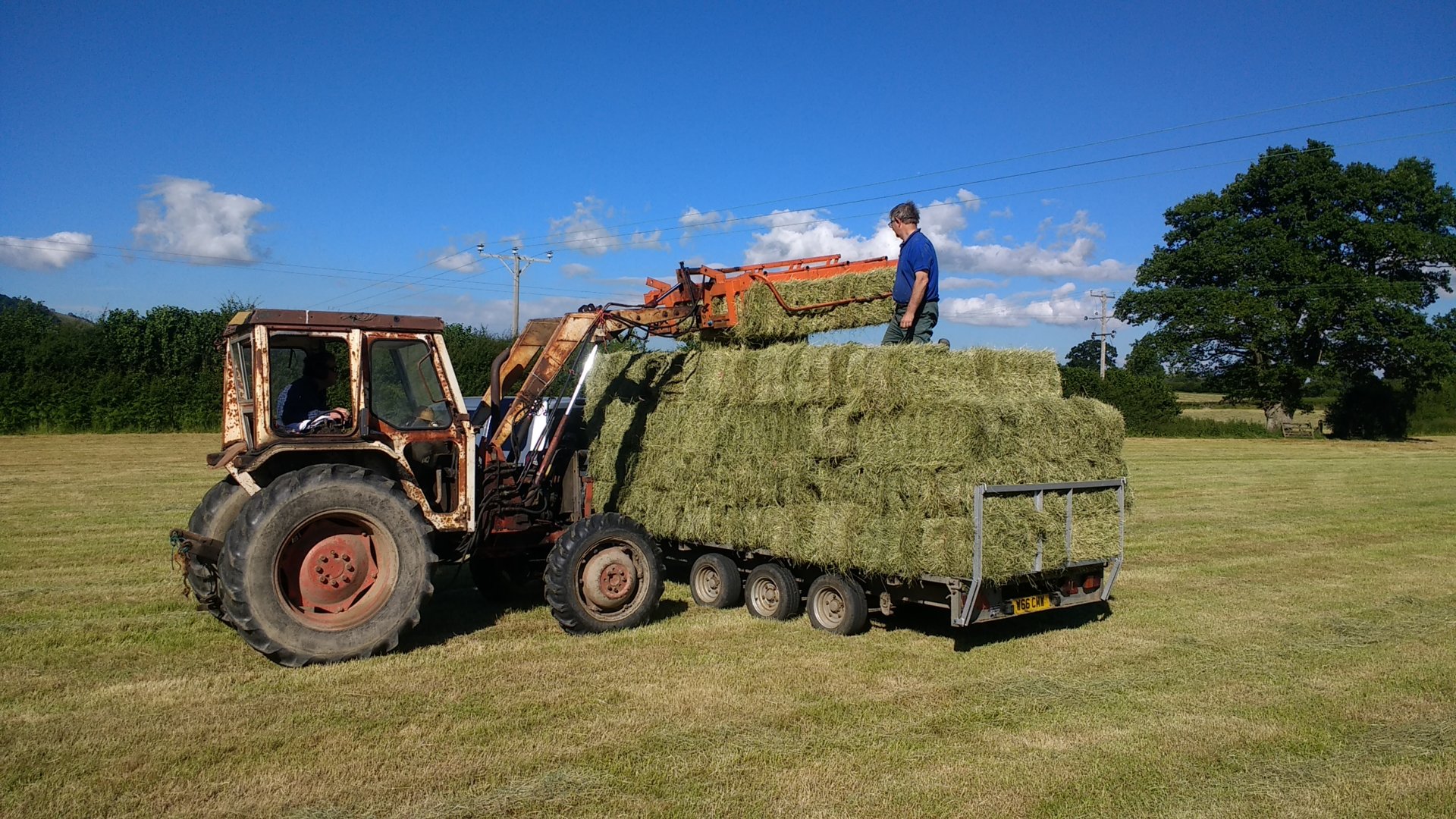 Classics Earning their keep. | Page 209 | The Farming Forum