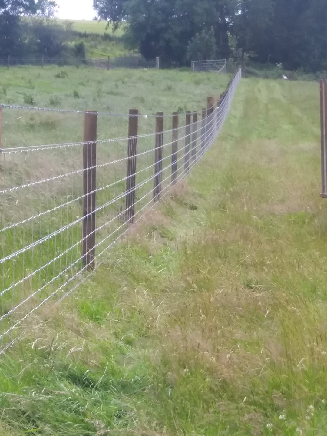 The Fencing Picture Thread | Page 77 | The Farming Forum