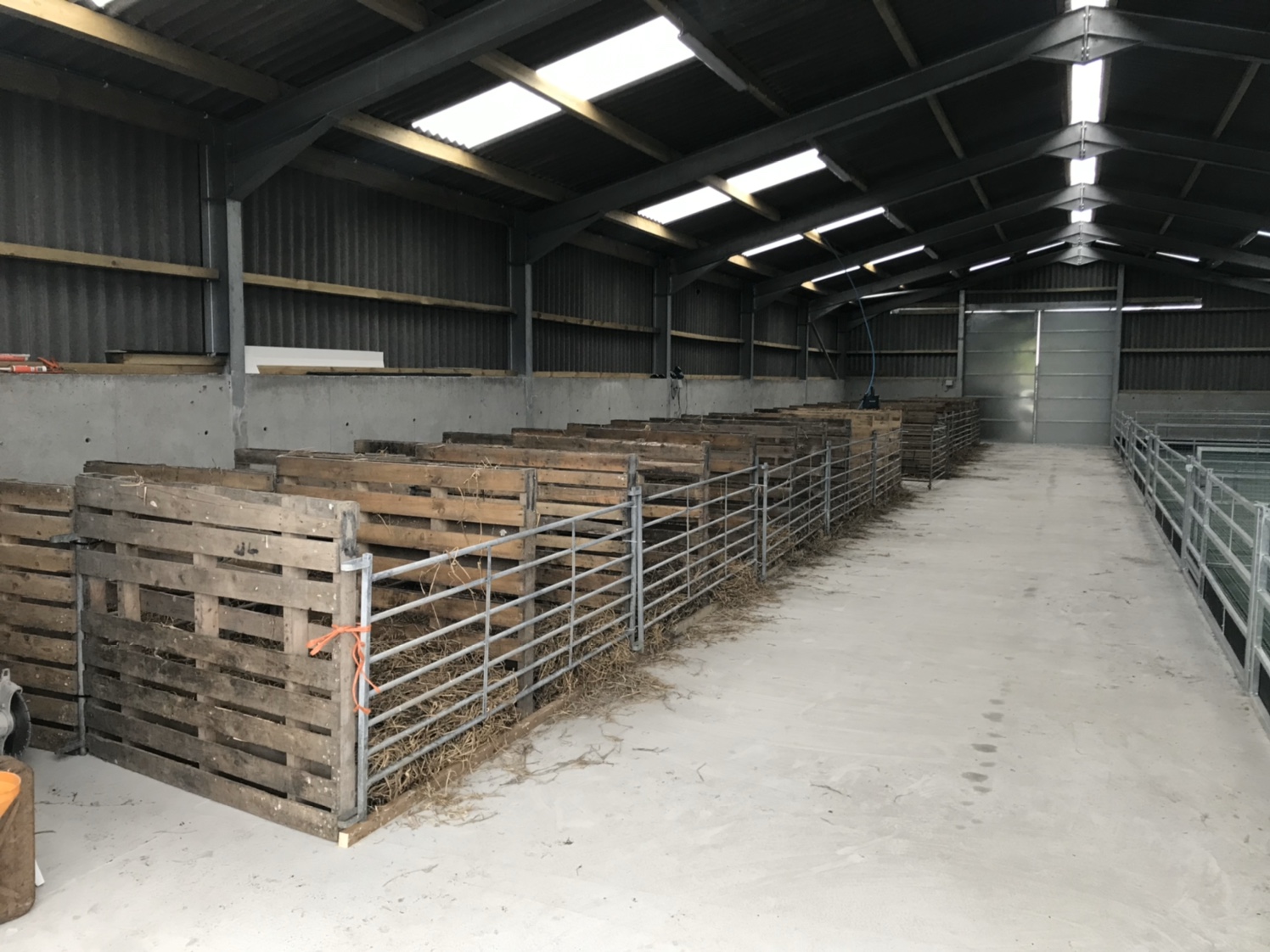sheep slats | Page 4 | The Farming Forum