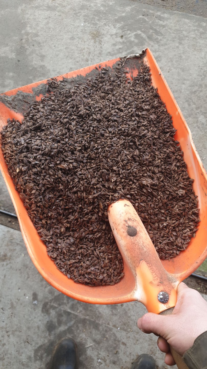 Maxxamon treated grain | Page 3 | The Farming Forum