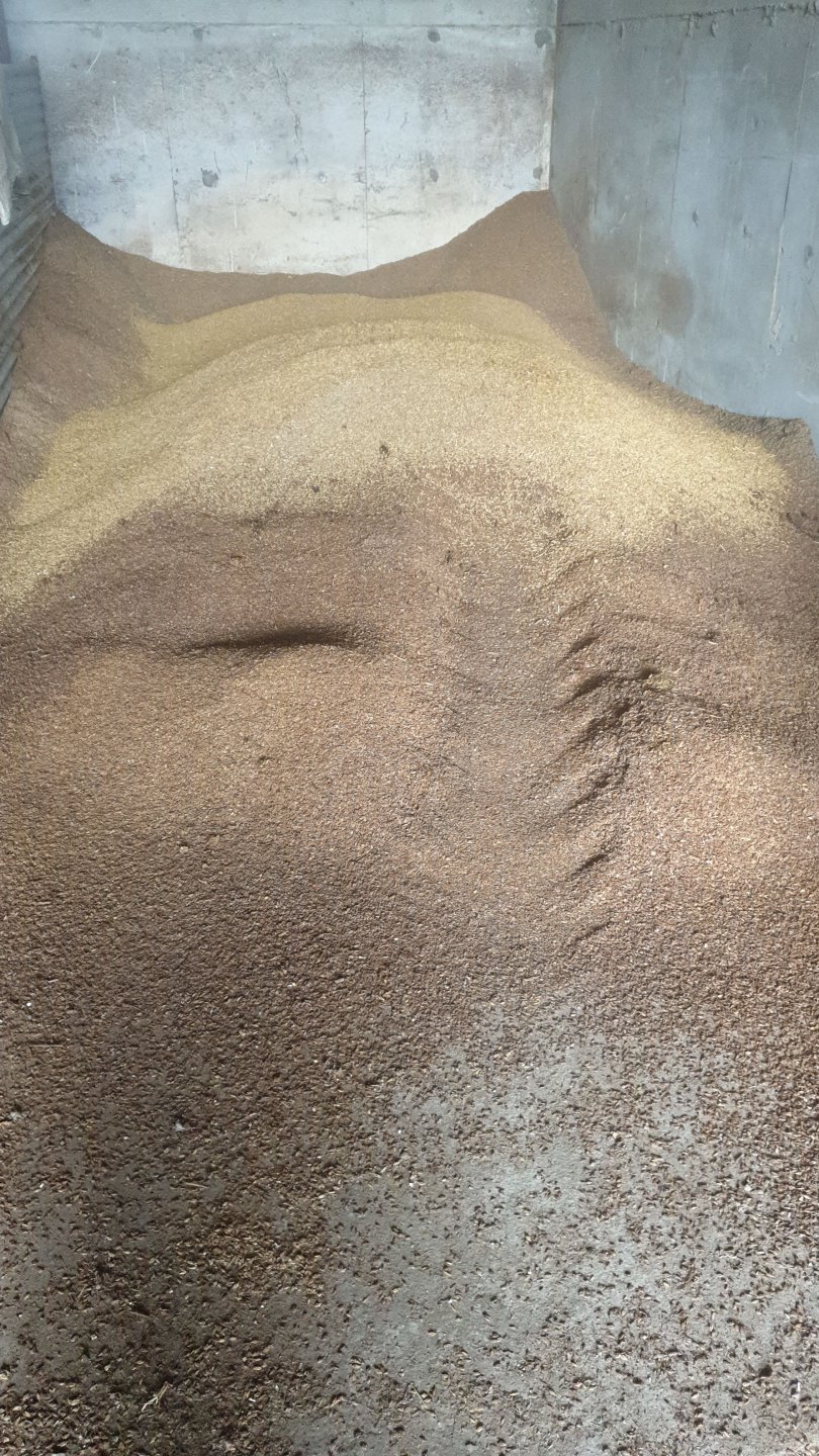 Maxxamon treated grain | Page 3 | The Farming Forum