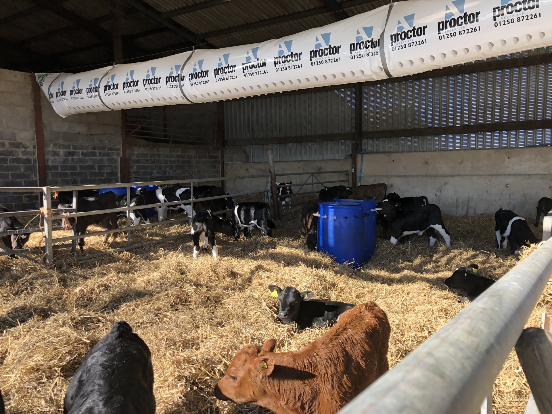 All things Dairy | Page 1536 | The Farming Forum