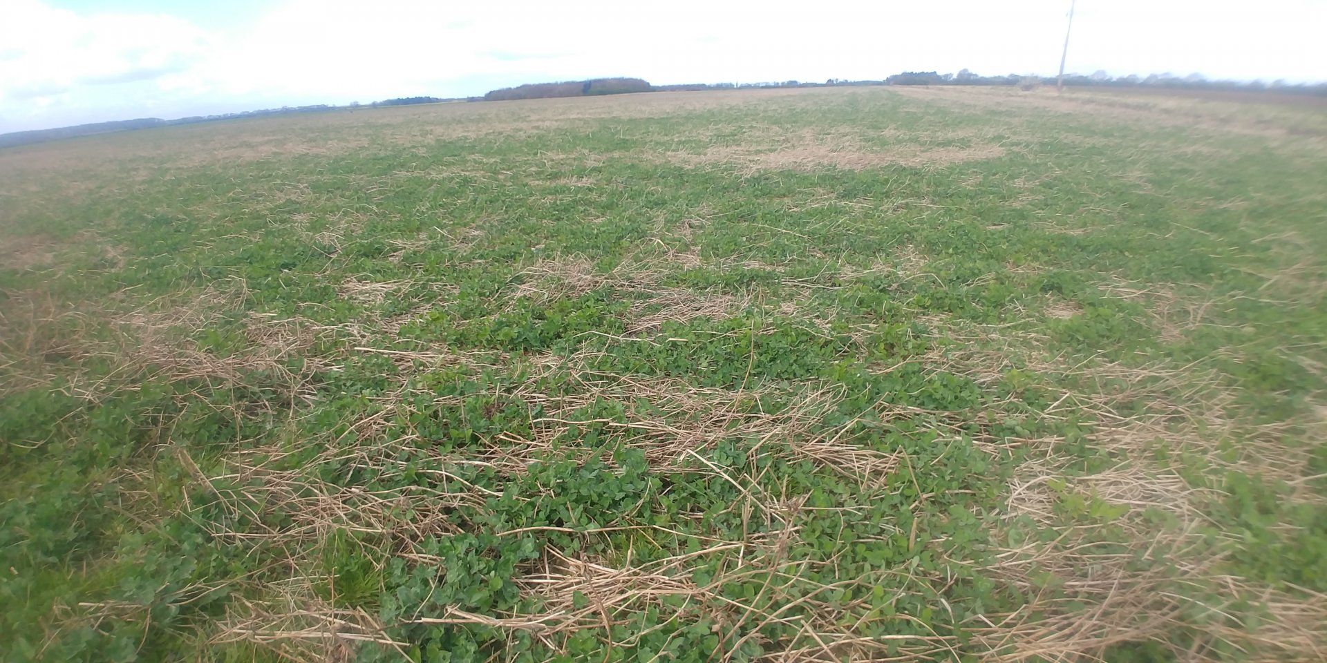 AB15 2 year legume fallow | Page 6 | The Farming Forum