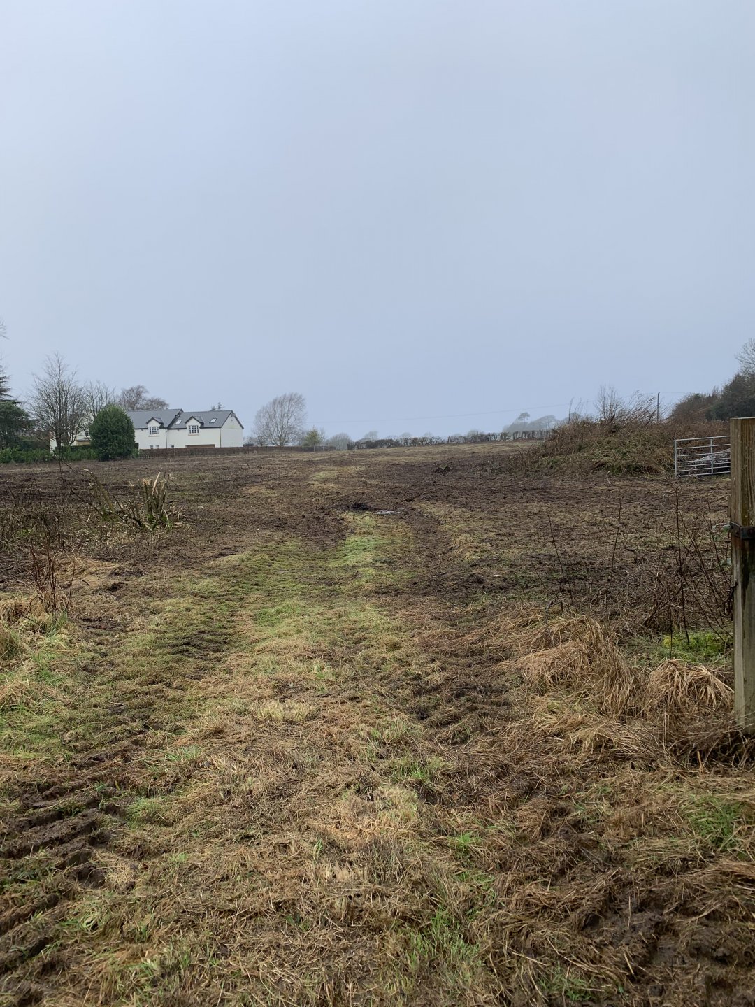 Reclaiming neglected land | Page 2 | The Farming Forum