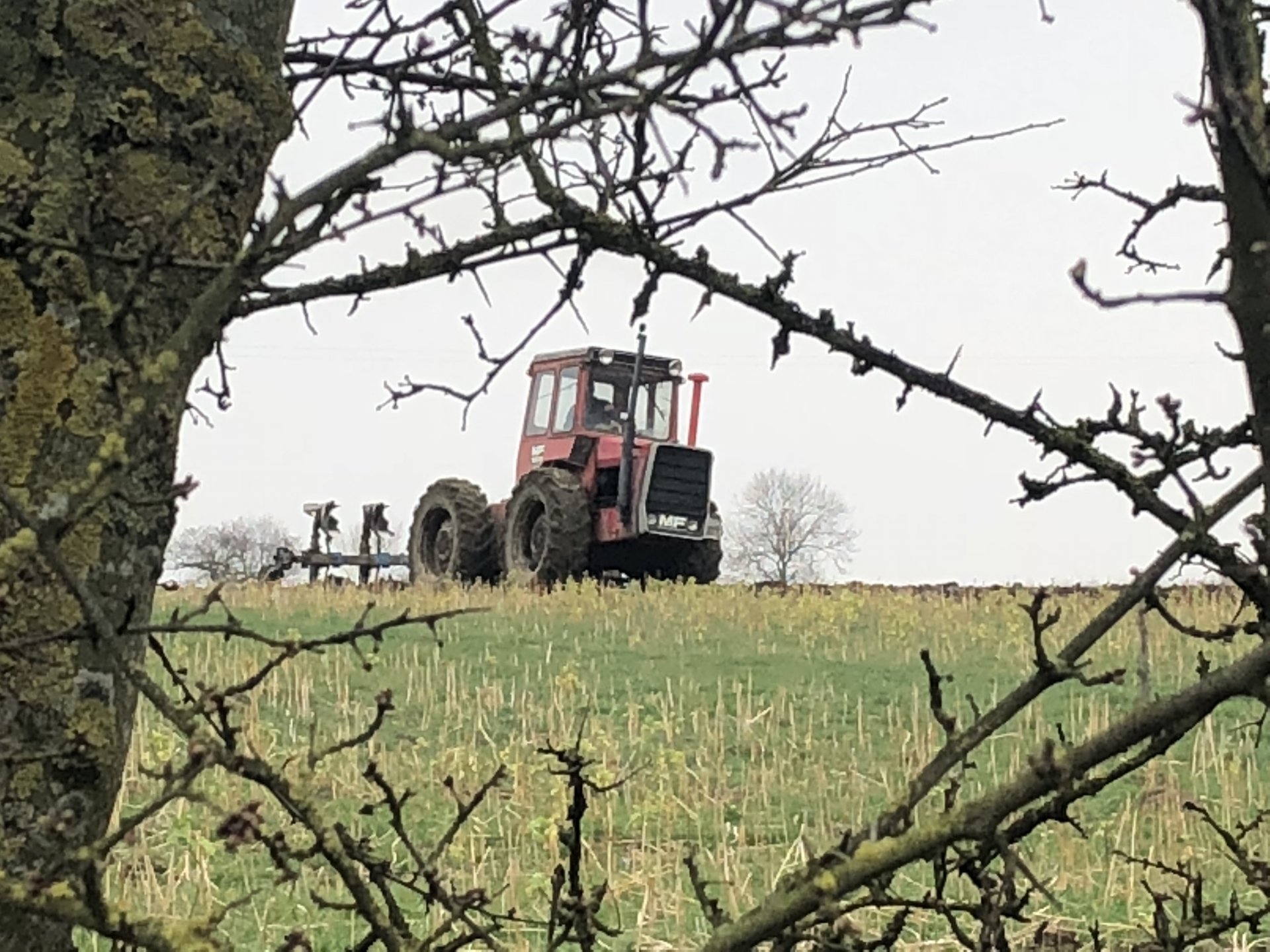 More Massey classics !!!! | Page 3 | The Farming Forum