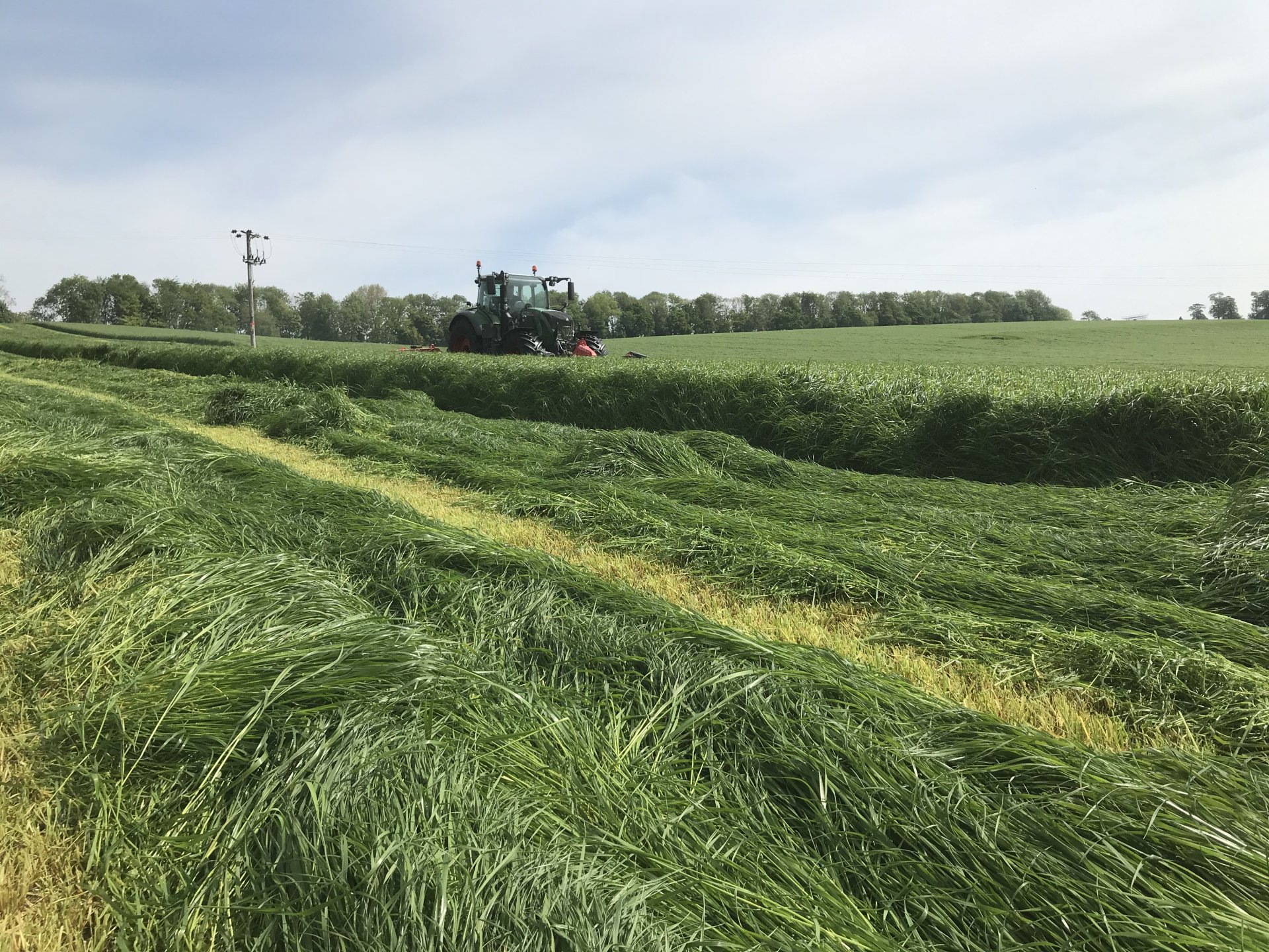 Silage 2020 | Page 18 | The Farming Forum