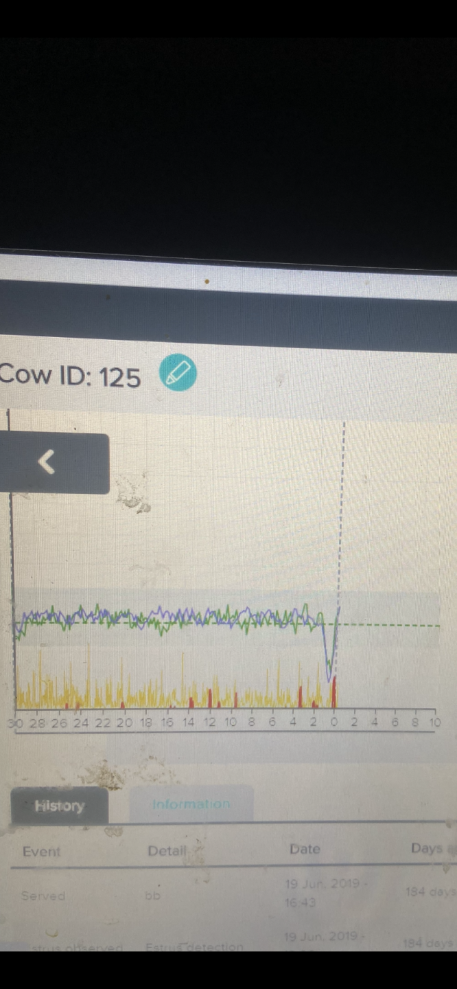 SCR collars - in calf and in heat | Page 2 | The Farming Forum